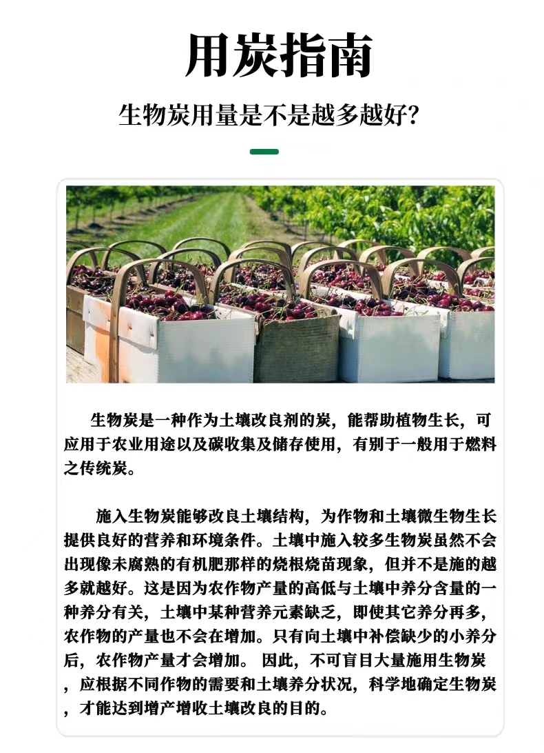 Rice straw charcoal - 炭索未来（广东）生态环境科技有限公司